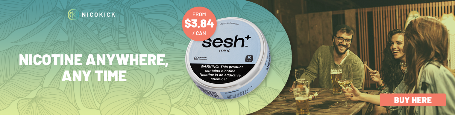 Sesh Nicotine Pouches - Buy Online with Fast shipping